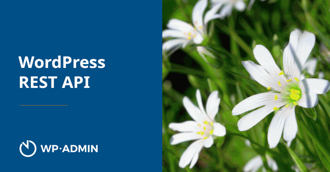REST API - WPdmin.com